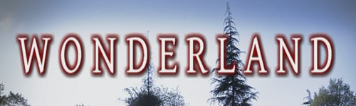 Wonderland webseries, il nuovo progetto di Giovanni Minardi | YouTube ...