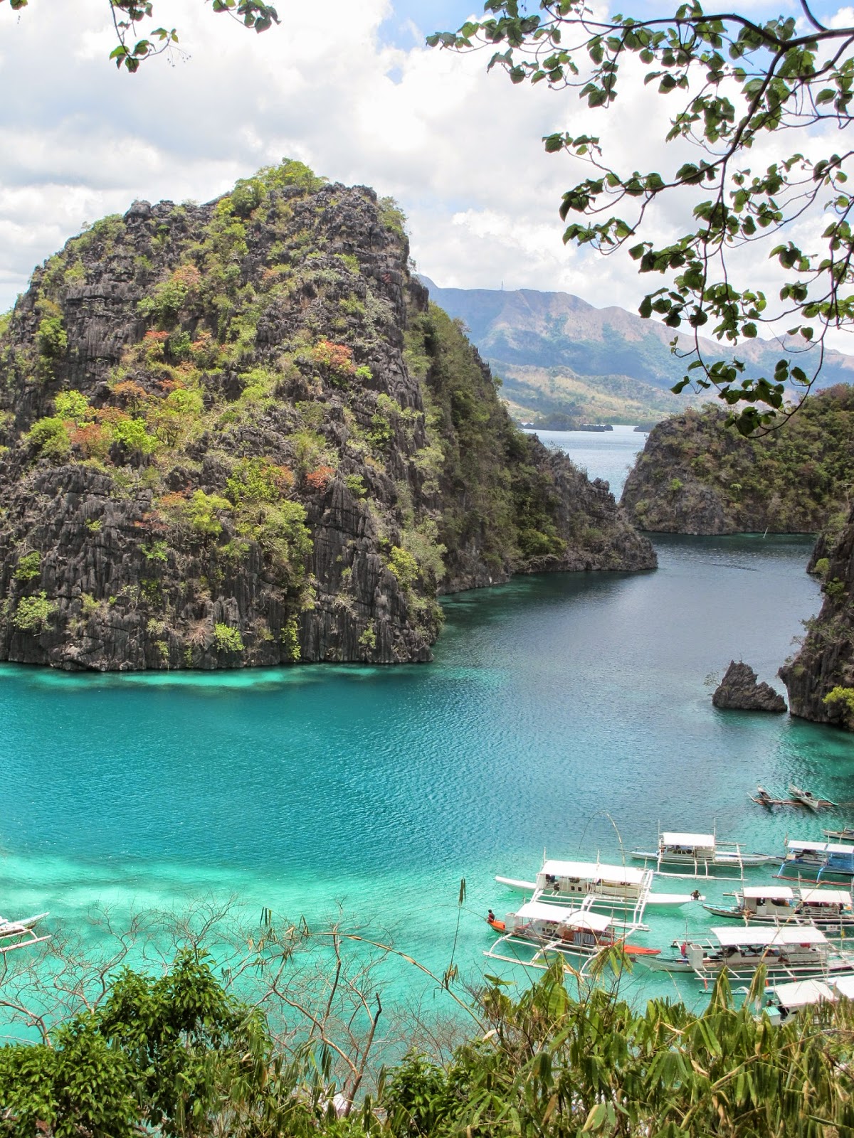 Coron Island Loop in Palawan: Kayangan Lake