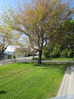 Help! I'm having a wedding!: The Bailey Island Library Hall!