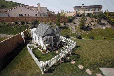 Skipping Stones: Dog Days