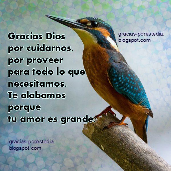 Gracias Dios por cuidarnos. Oración de Gracias | Gracias a Dios por ...