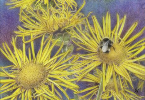 RMSBA Gallery Featuring Heidi Snyder