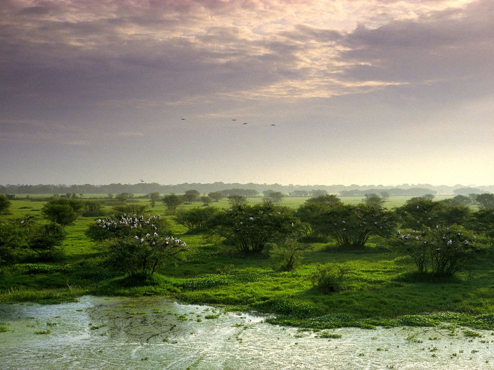 Un Mundo en Paz: Simplemente paisajes