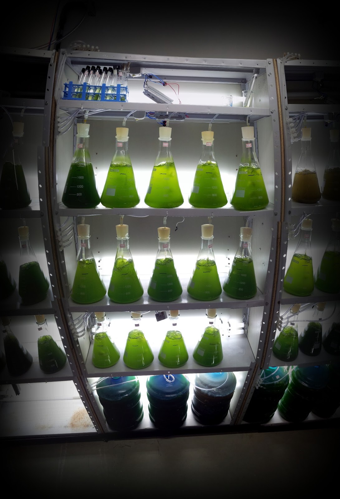 Sala de Cultivo de Microalgas - NPDEAS