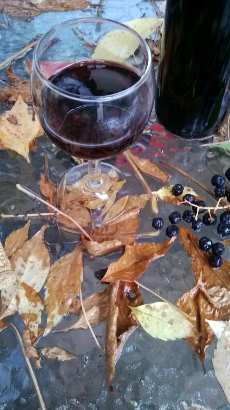 Wino Domowe 2.0: Jak nie zakrztusić się czeremchą. I jak zrobić z niej ... Wino Domowe 2.0: Jak nie zakrztusić się czeremchą. I jak zrobić z niej ...
