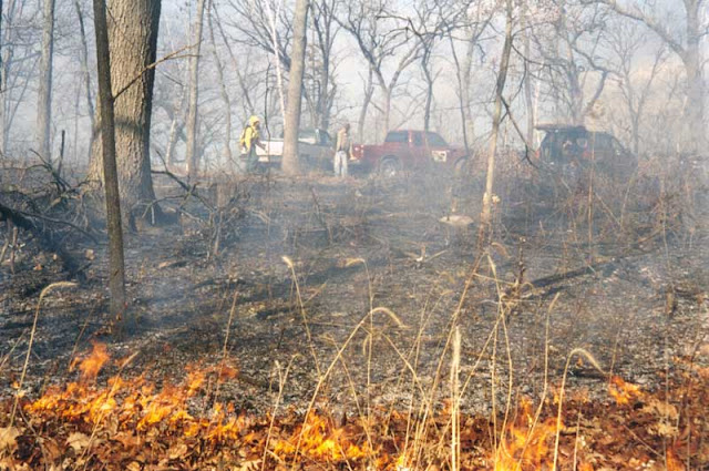 Tom's Blog: Controlled burns: Increase efficiency by doing two burns at ...