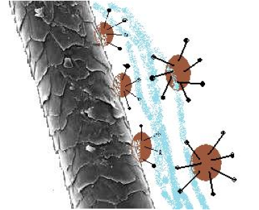 Hairdressing Salon Secrets: How shampoo works in your hair