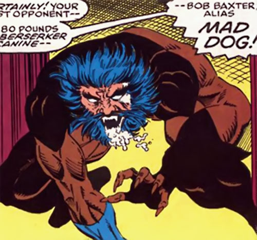 Spring Road Super Review: Mad Dog: a supervillain that sounds like he ...