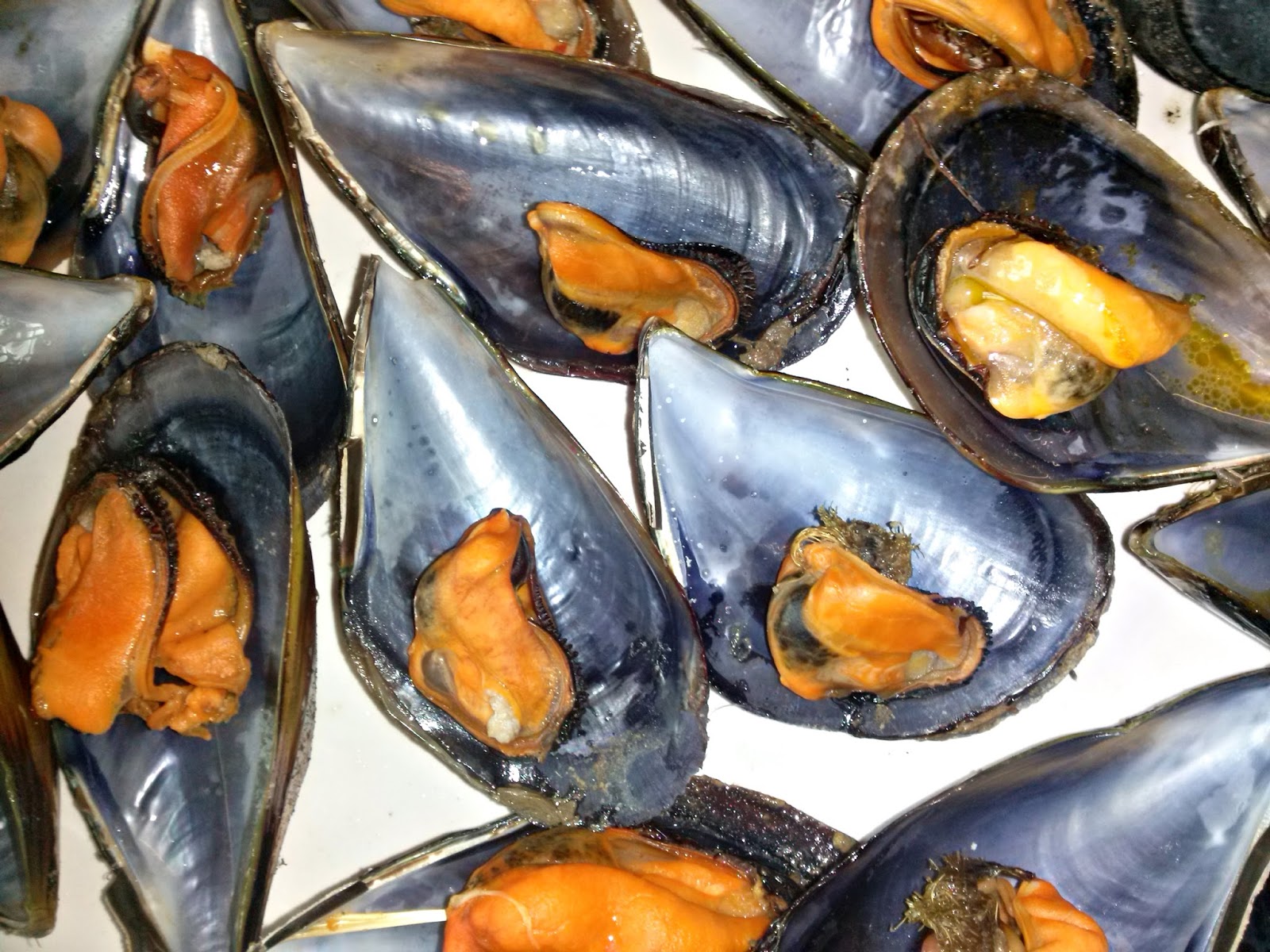 De aprendiz a chef: Mexilhão gratinado