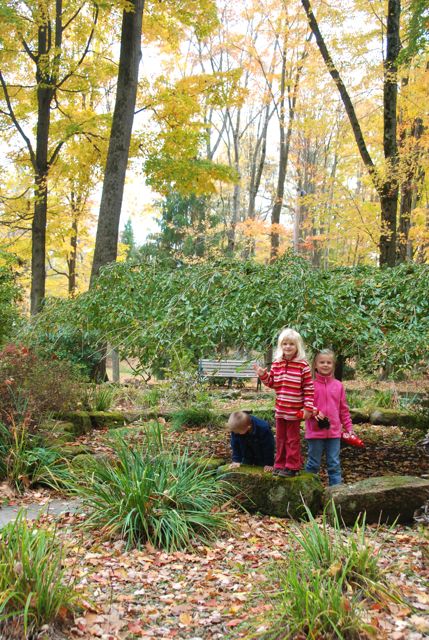 Wife, Mother, Gardener: Fall Outing at the Park