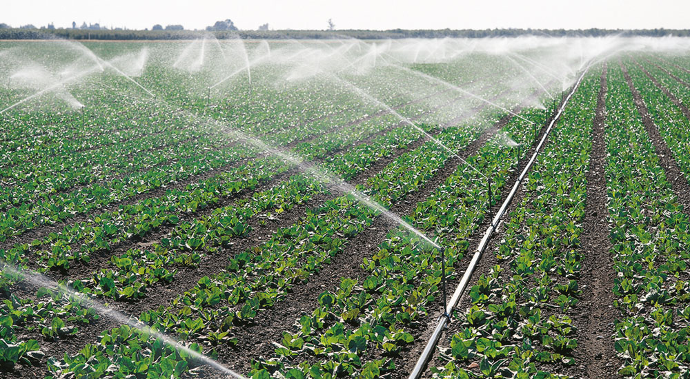 Saudi Mais Co. for Irrigation System Ltd.