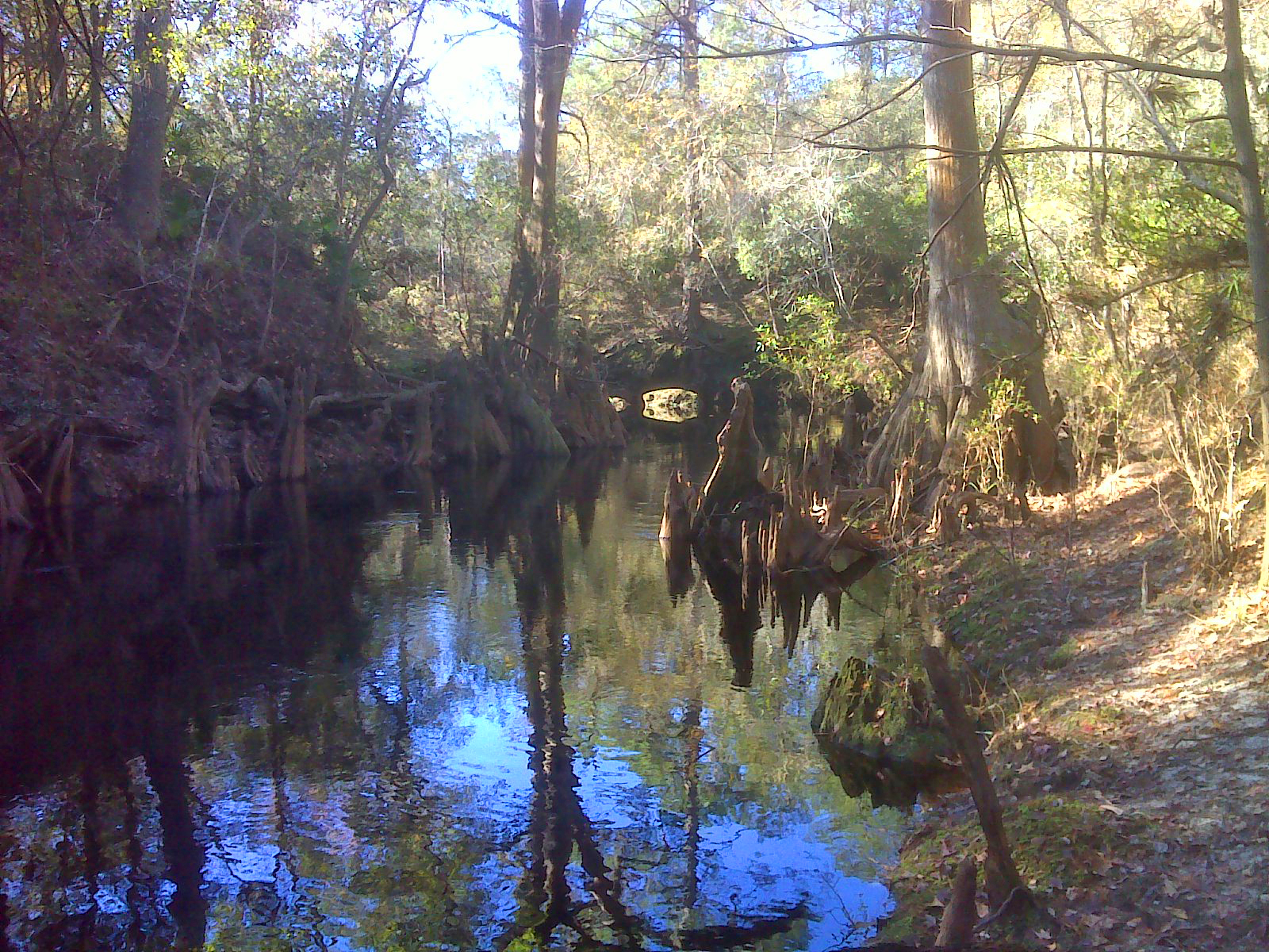 Heart and Sole: Sopchoppy River - a primeval wonder