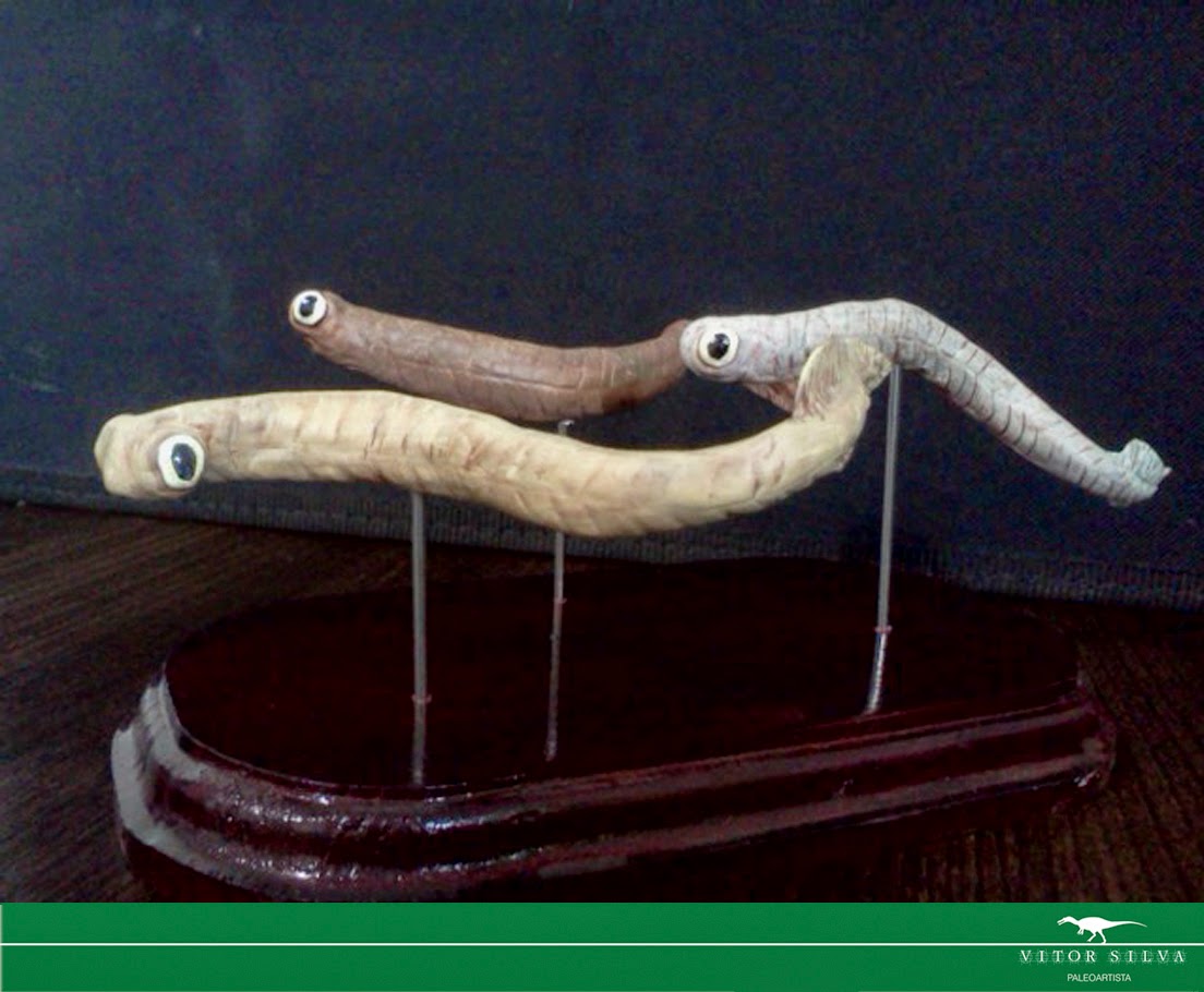 Vitor Silva - Paleoartista: Conodontes - Paleo Brasil