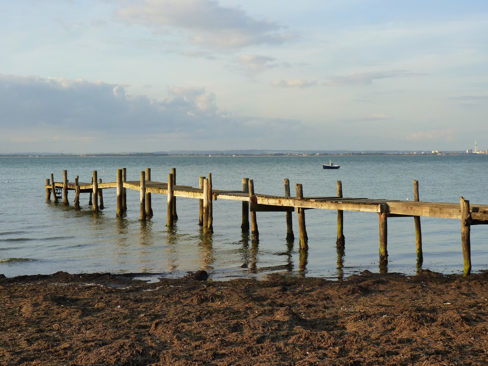 Birding For Pleasure: Birds and Binstead Beach