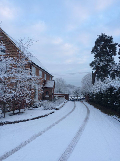 Winter Wonderland, some snowy scenes from over the weekend. - Roses and ...