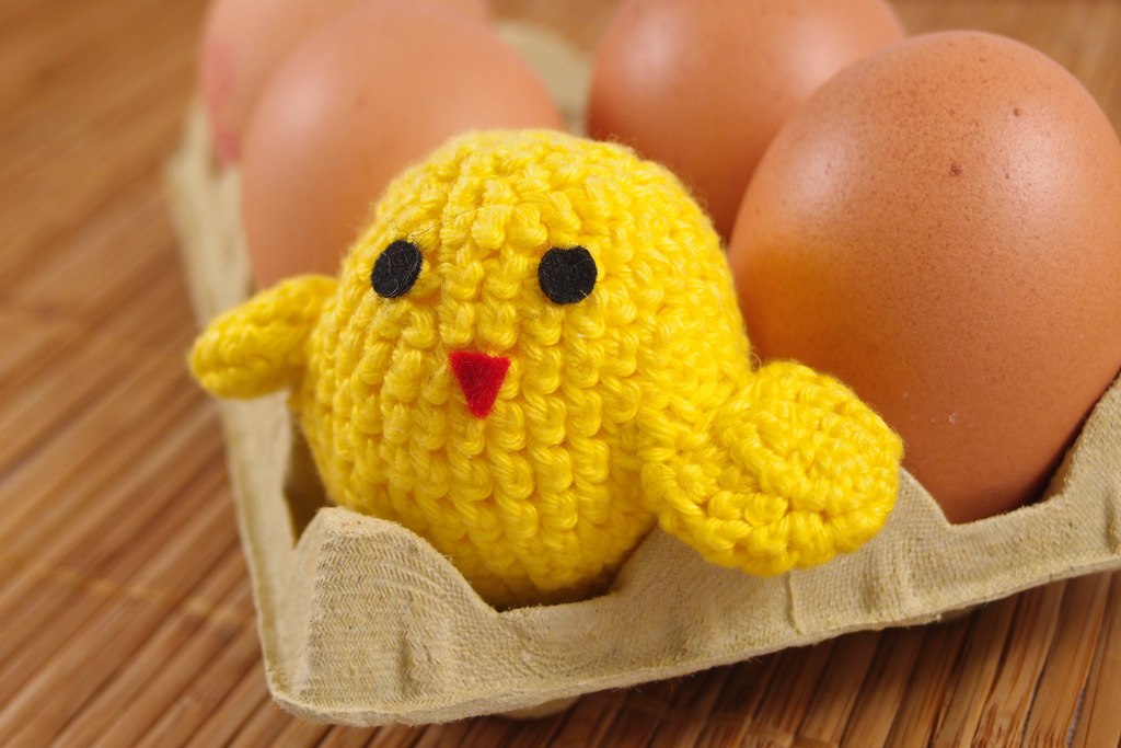 El Señor de los Hilillos: Pollito