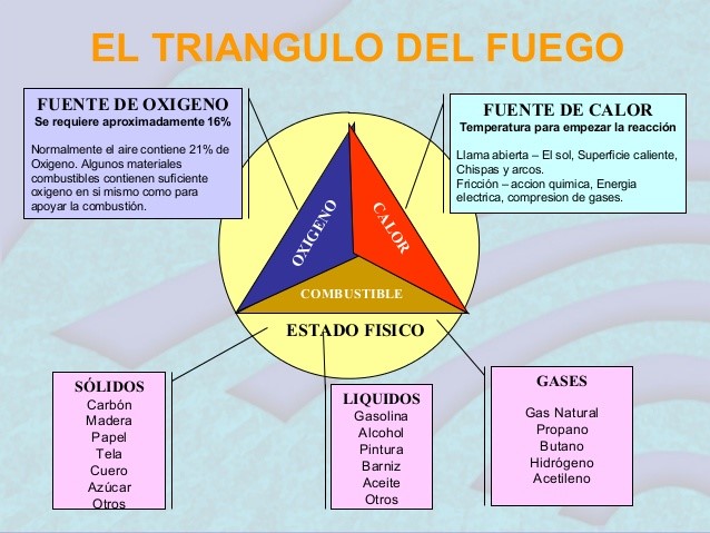 Seguridad y Prevención: NL N°11 - 30.06.16