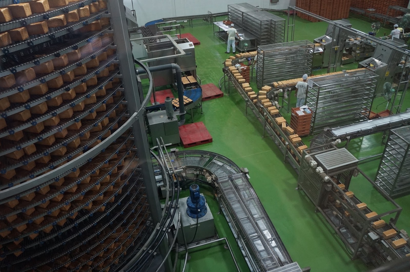 Gardenia Plant Tour in Laguna ~ Wazzup Pilipinas News and Events