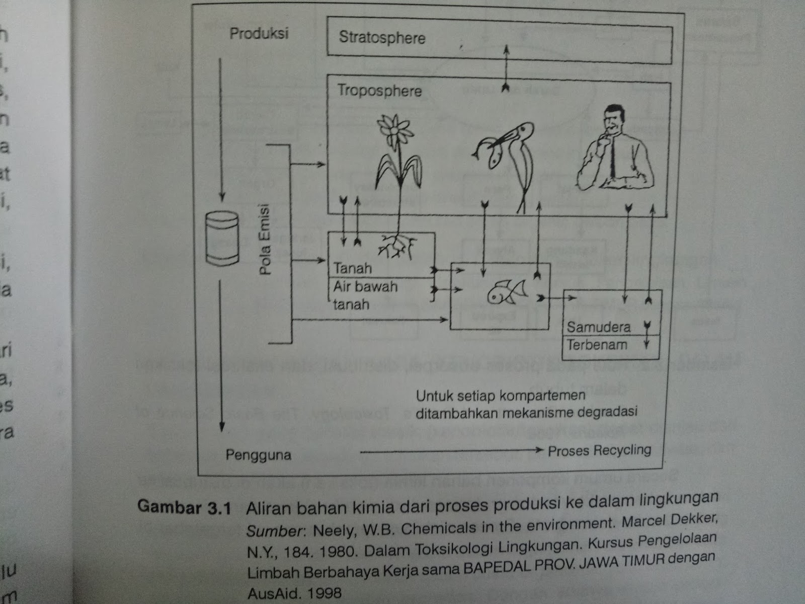 ALIRAN TOKSIKAN DALAM TUBUH DAN LINGKUNGAN - Kumpulan Materi