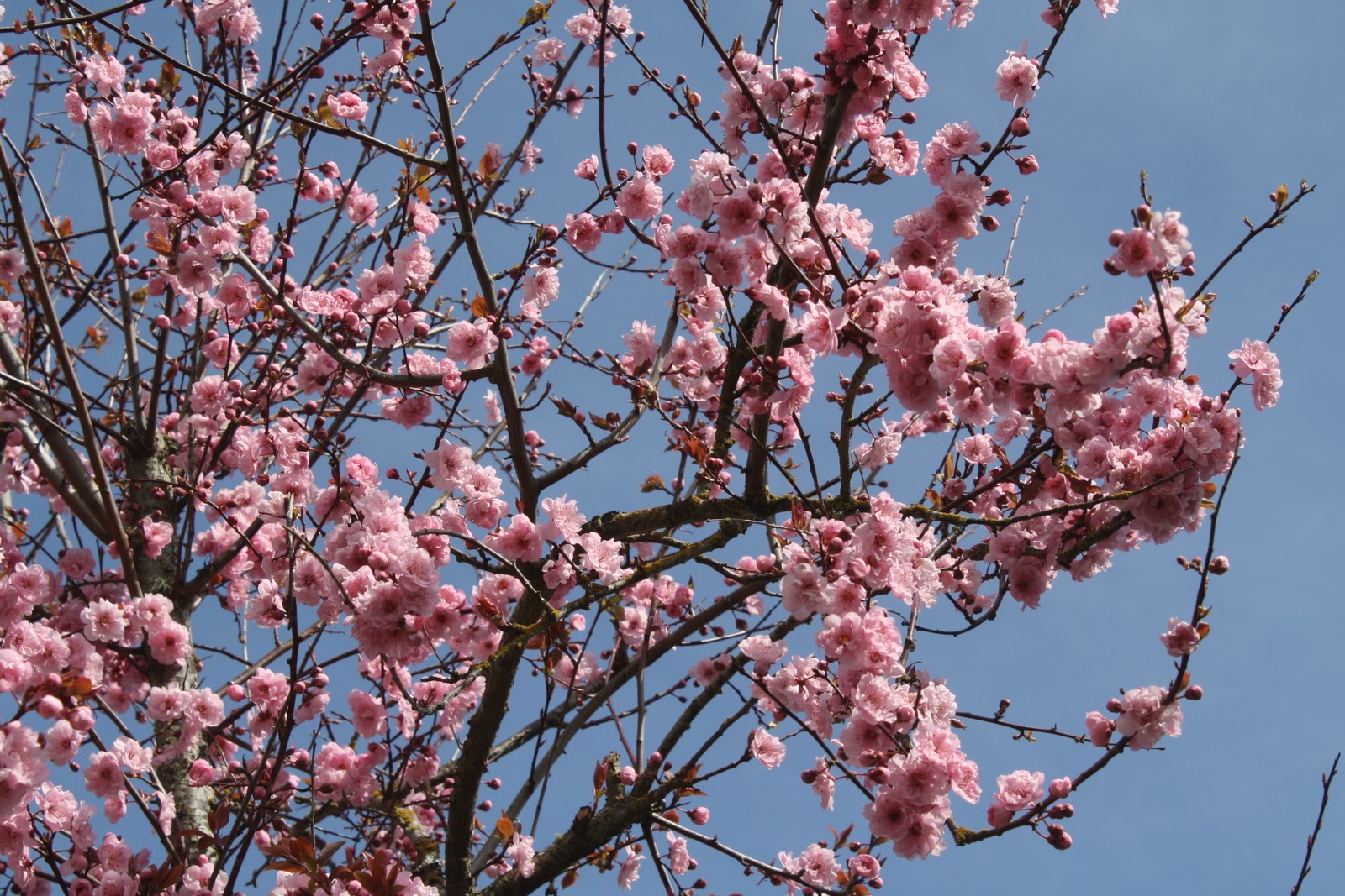 artgarden: End of month view - March