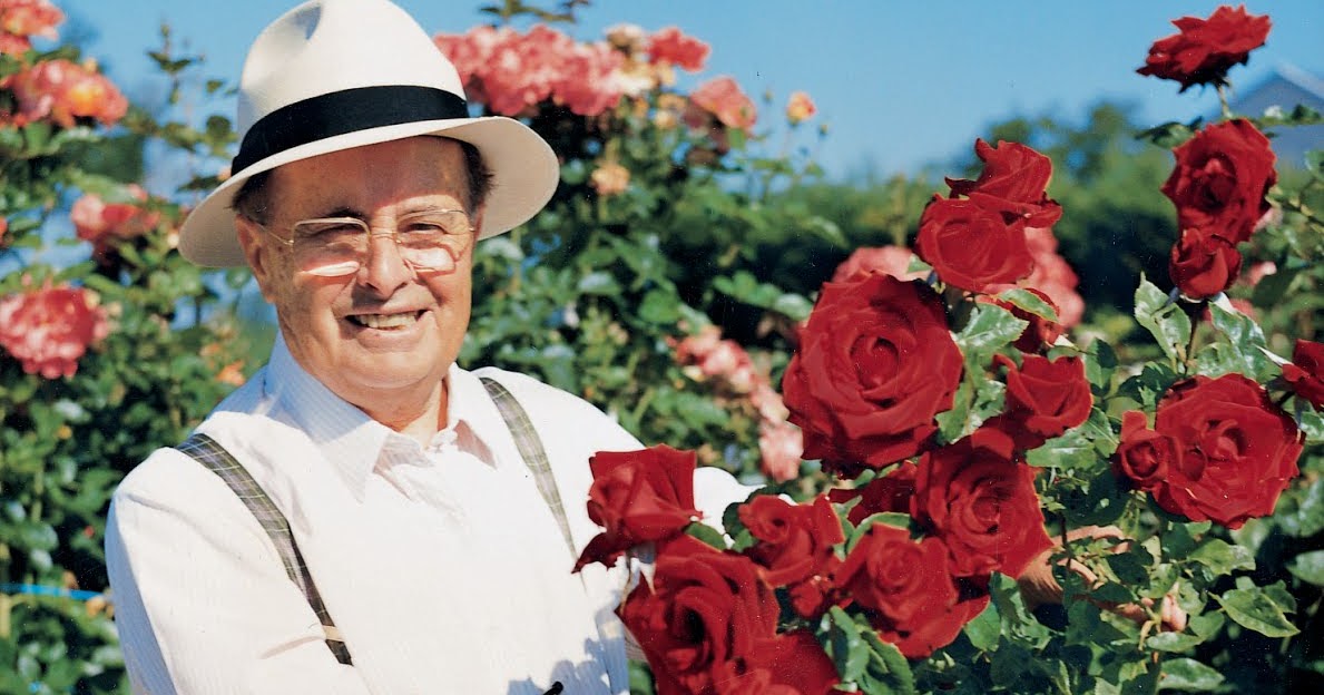 Georges Delbard, Jardinier du monde ou la création d’une pépinière de ...