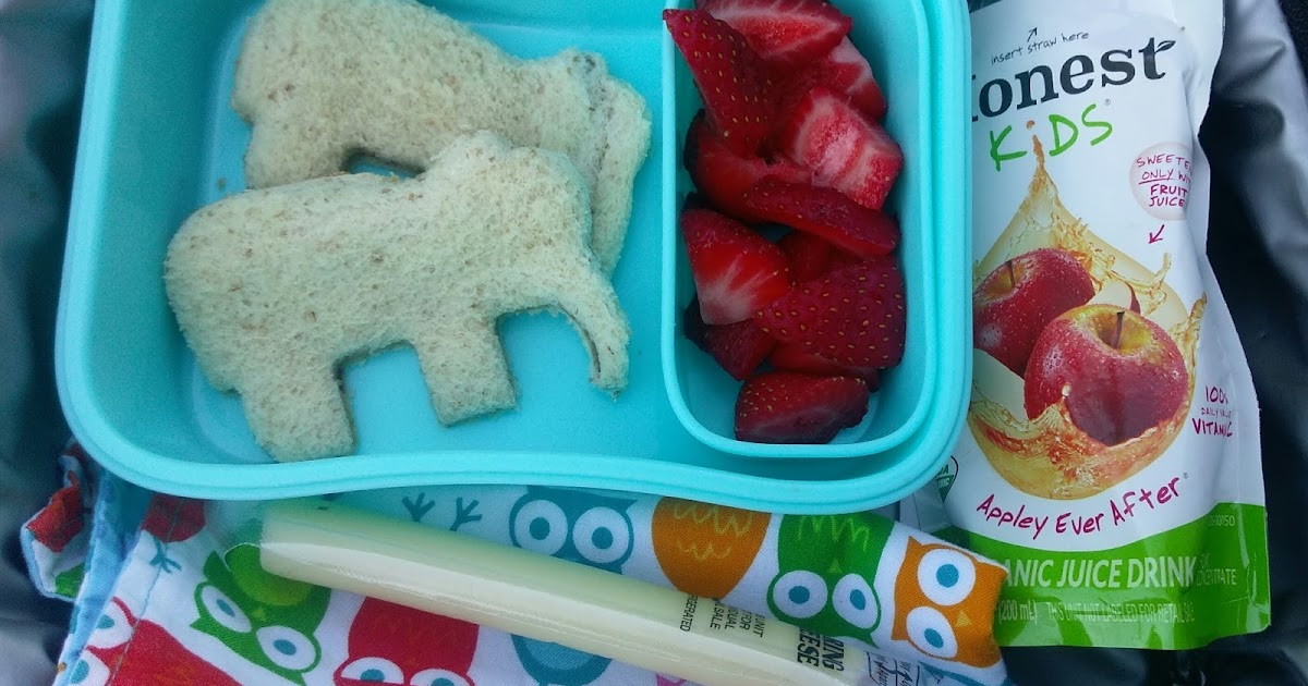 Raising Little Geniuses: Kindergarten School Lunch #13
