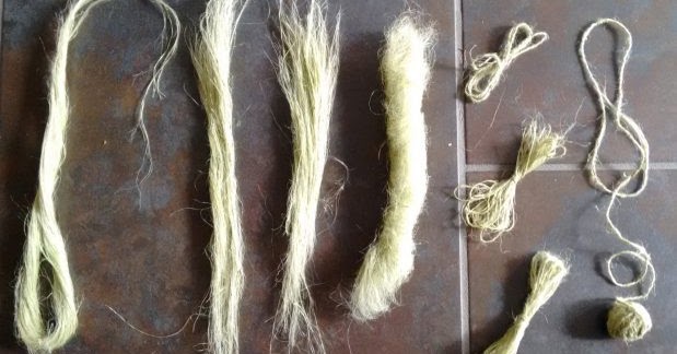 Nettle fibre extraction | BeeKayMakes