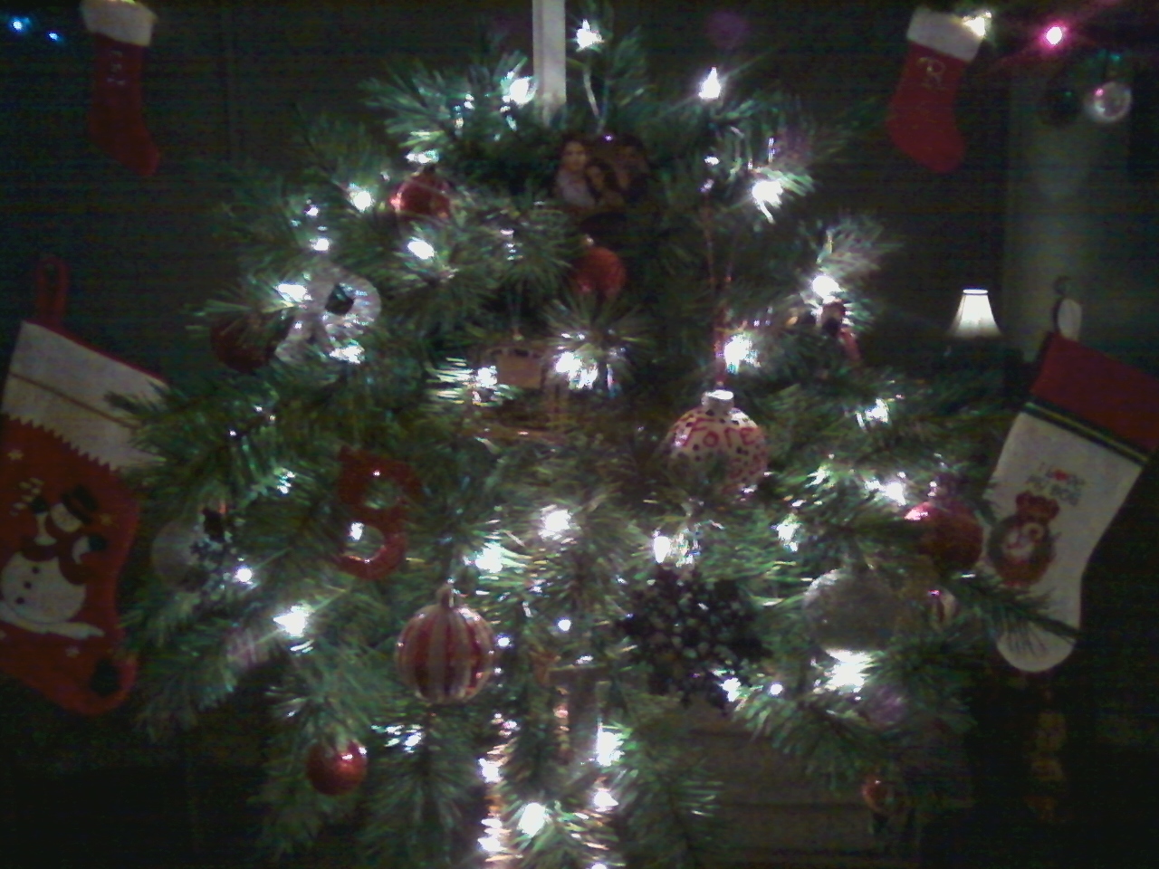 Twilighters Dream: Christmas Twi-Palm