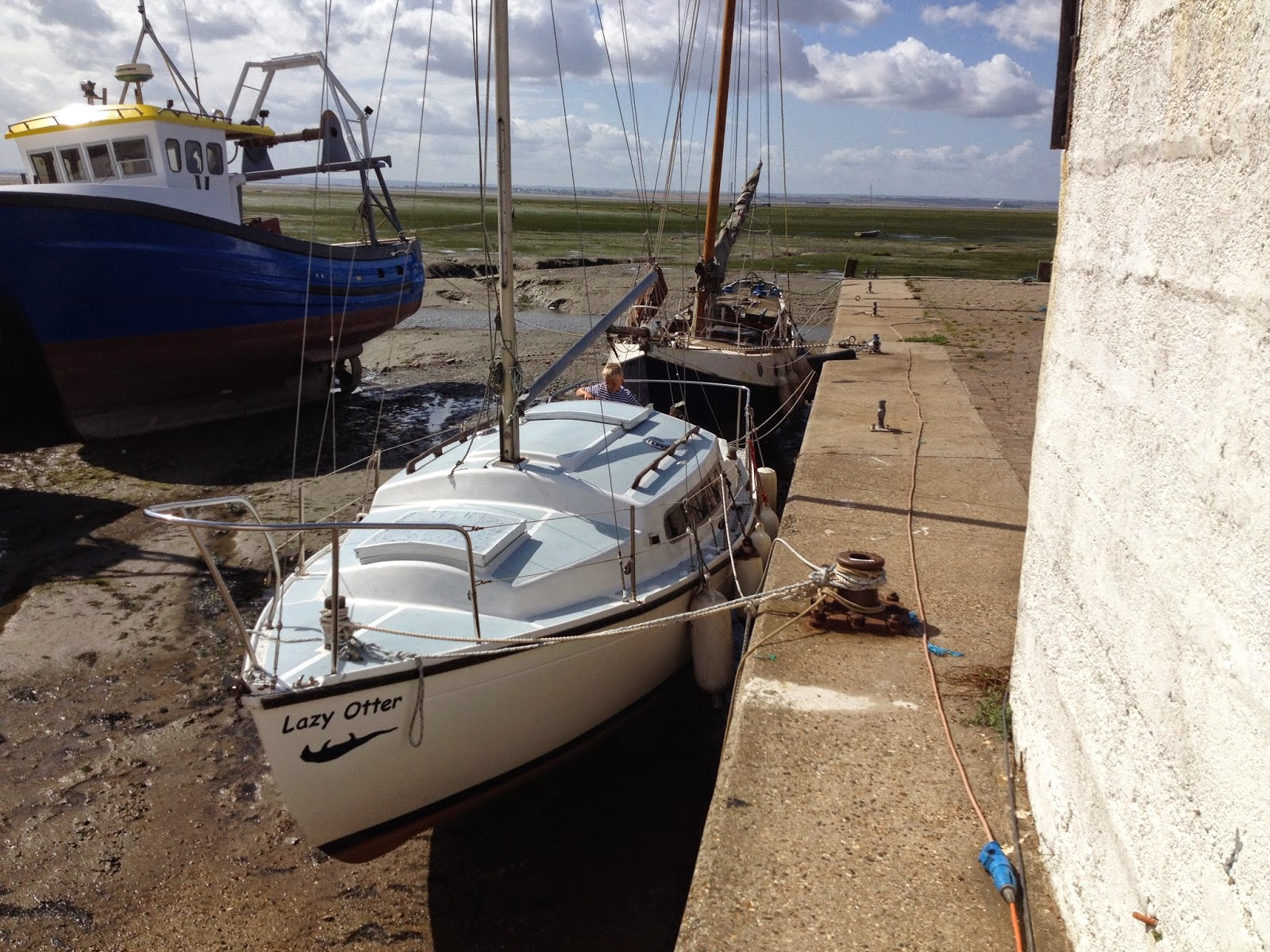 Bill's Log: Snapdragon 26