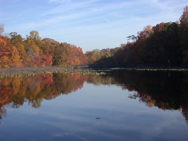 Endangered New Jersey: Clean Waters
