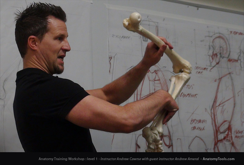 AnatomyTools.com: 2015 Photo Album - Human Anatomy Workshop Lvl-1 (April)