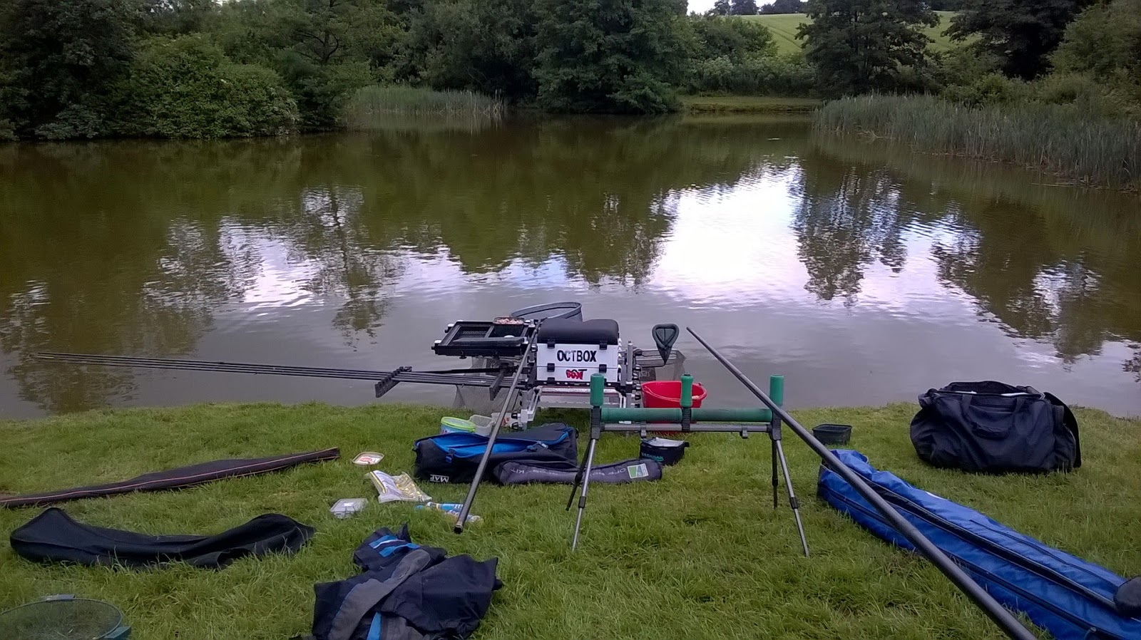 Fishing-Ken's Angling Log: 24/06/16 - Rood Ashton