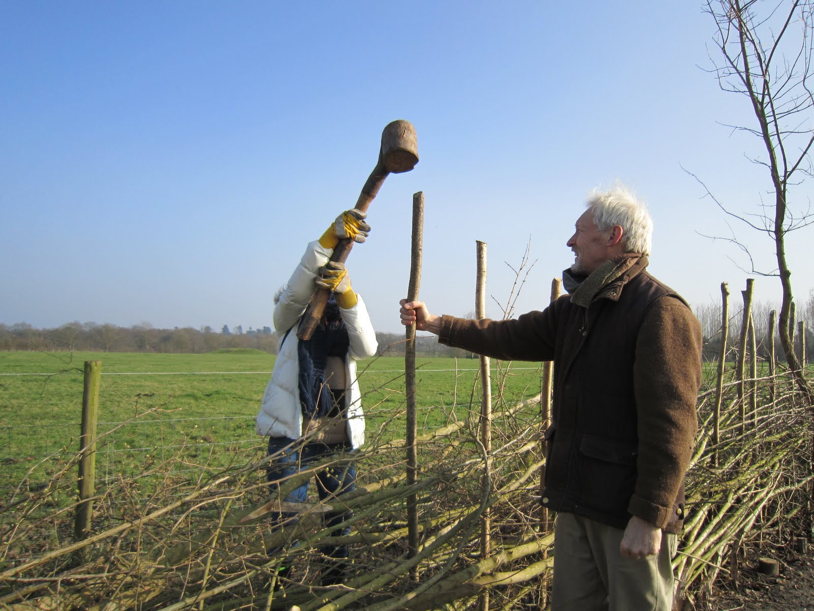 Landscape is Deon Steyn: Merrist Wood, Brian Rogers