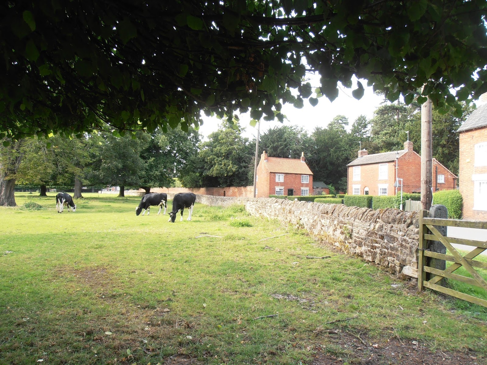 A Random Traveller: 23 July 2016 - Littleover Farm, Sutton Bonington ...