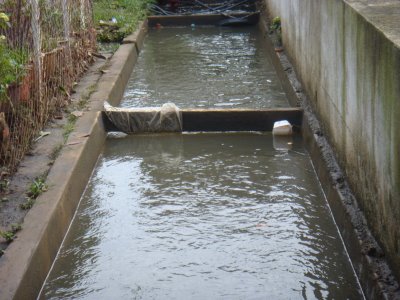 come post your favourite long kang here