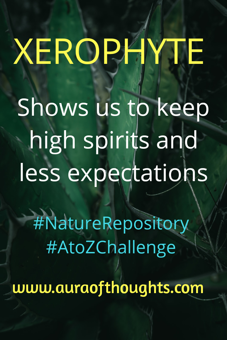 Aura Of Thoughts: X - XEROPHYTE - Lessons from Nature #NatureRepository