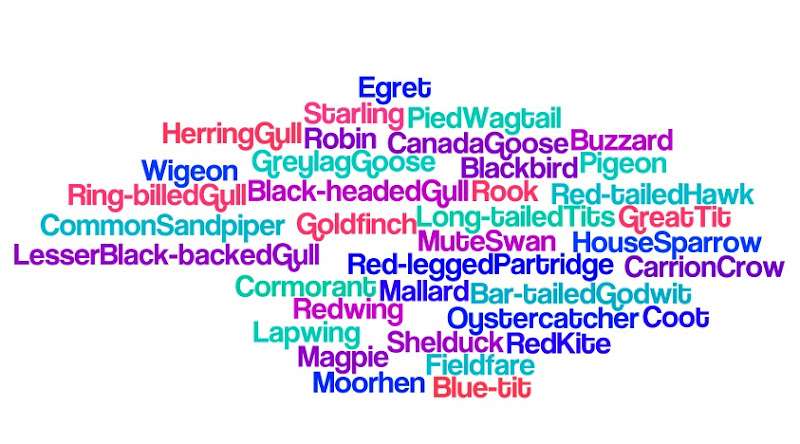 Wild and Wonderful: Beautiful Birds (40): 2012 Species List Wordle
