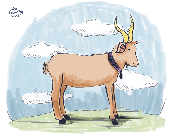 Libby Lamb Wagner: bleat bleat