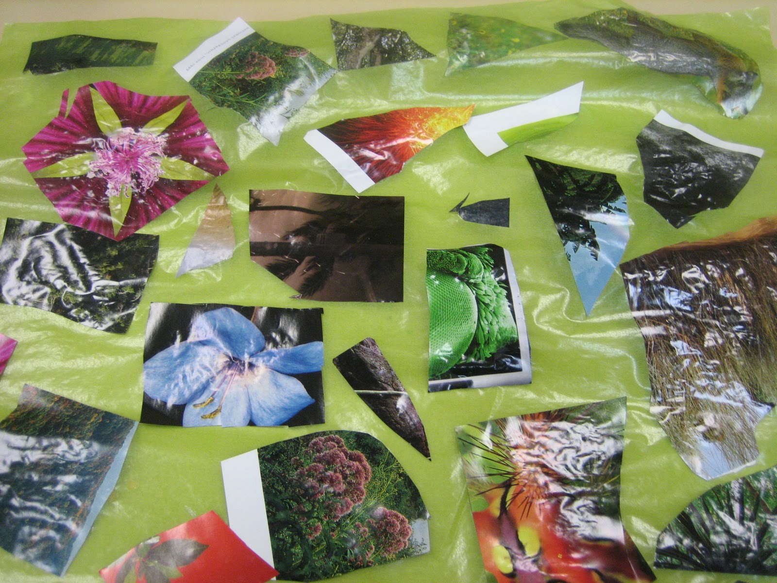 Lower School Science: 8th age environmental collages - things made from ...
