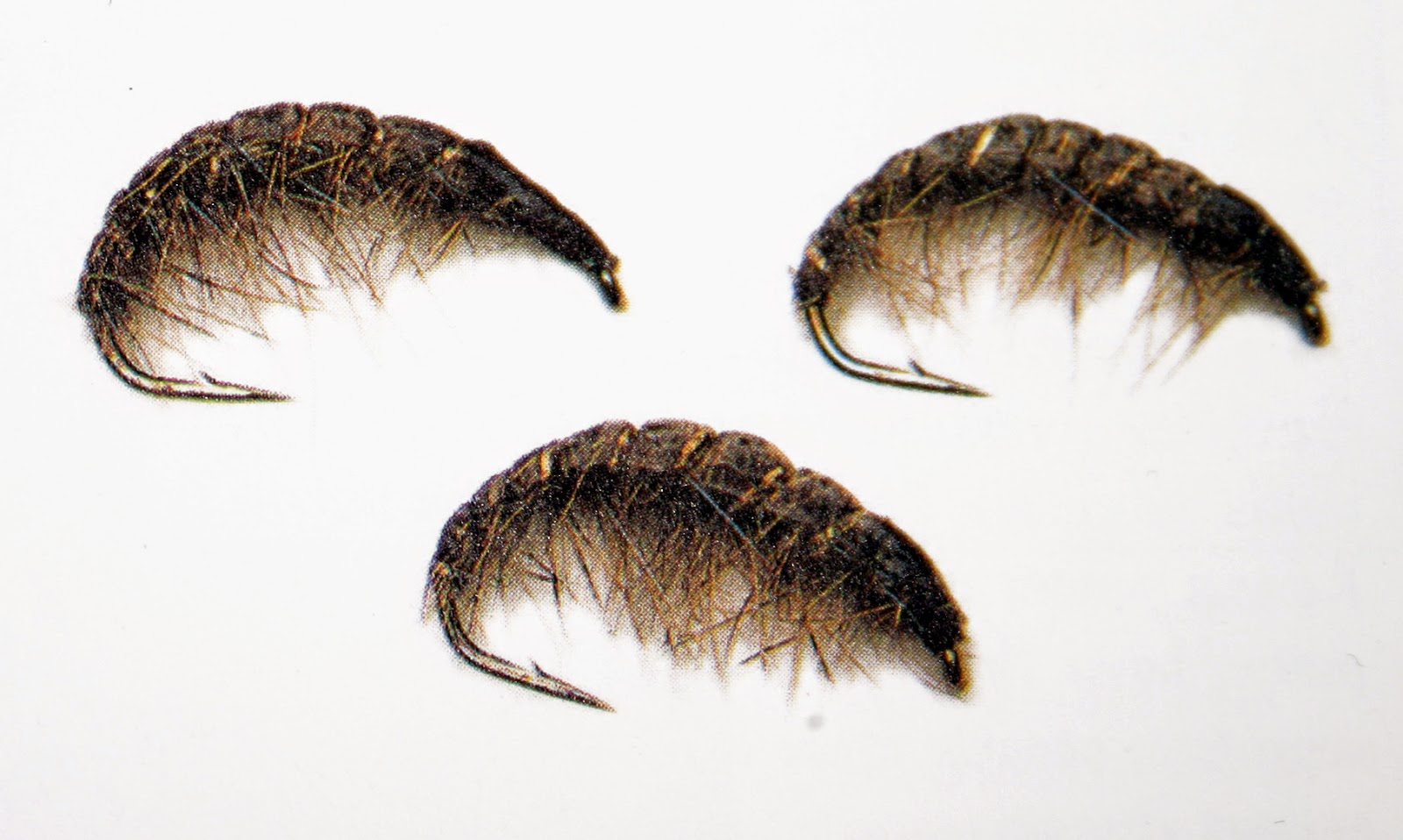 Pasiunea Pescuitului: Pescuitul cu Nimfe pe Rau