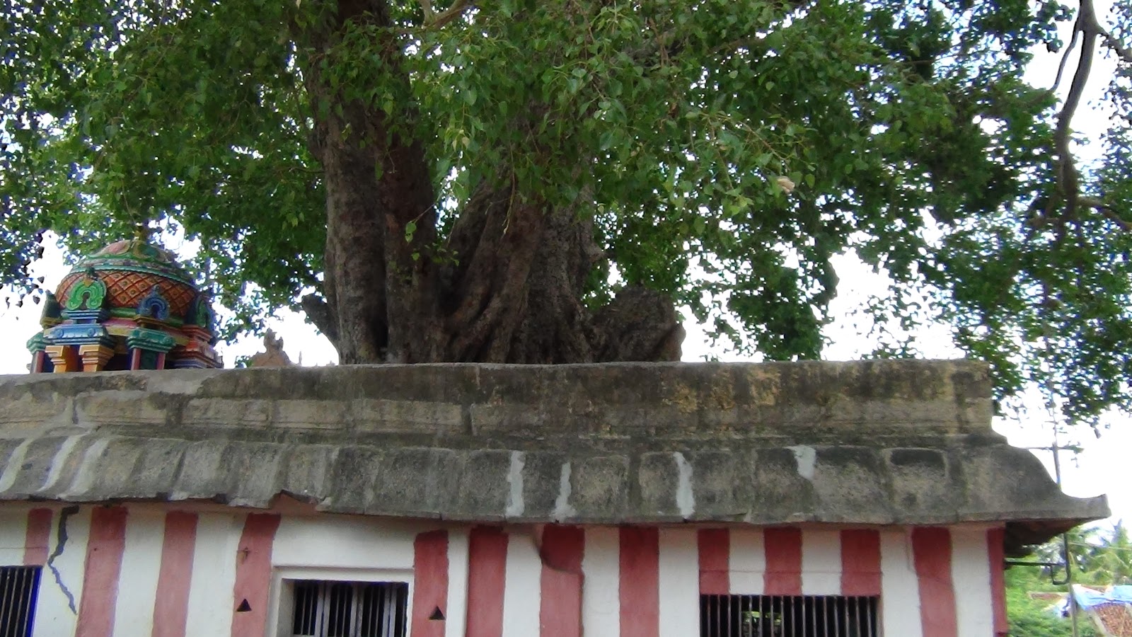Dr.Ravishankar's blog: Sri Bhuvarahaswamy temple Srimushnam a Divya ...