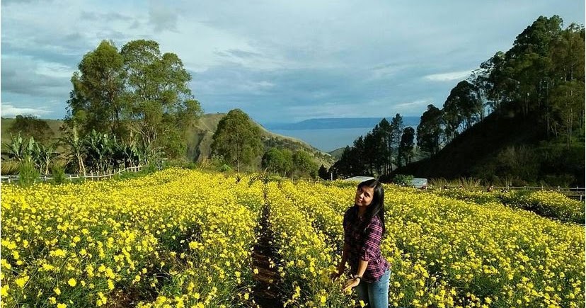 7 Foto, Lokasi dan Tiket Masuk ke Sapo Juma Tongging di Karo - Pariwisata Sumut