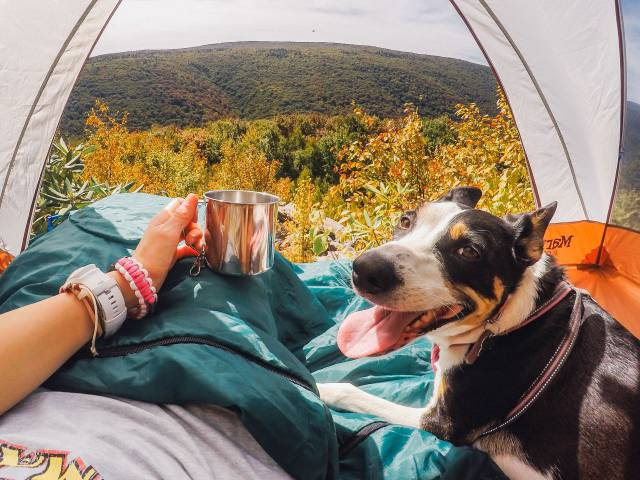 Random Pictures Of The Day (24 Pics).