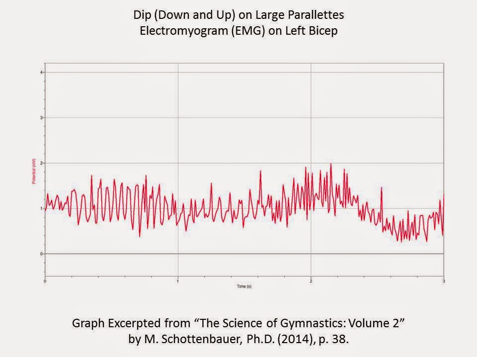 The Science of Gymnastics: Graphs Shed Light on the Science of Gymnastics
