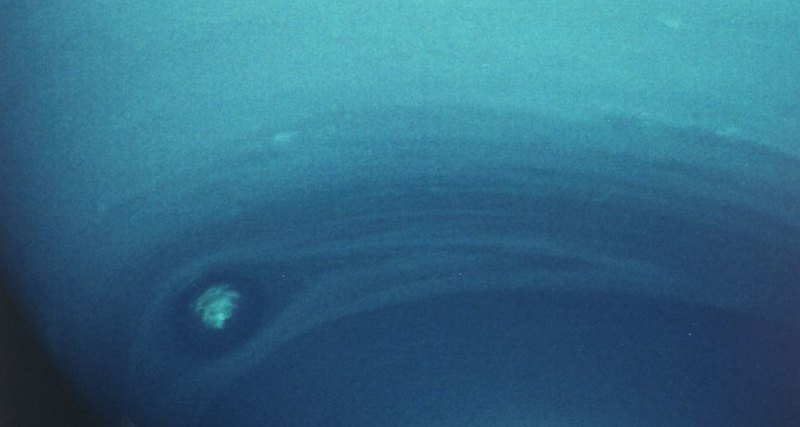 Dark vortex on Neptune