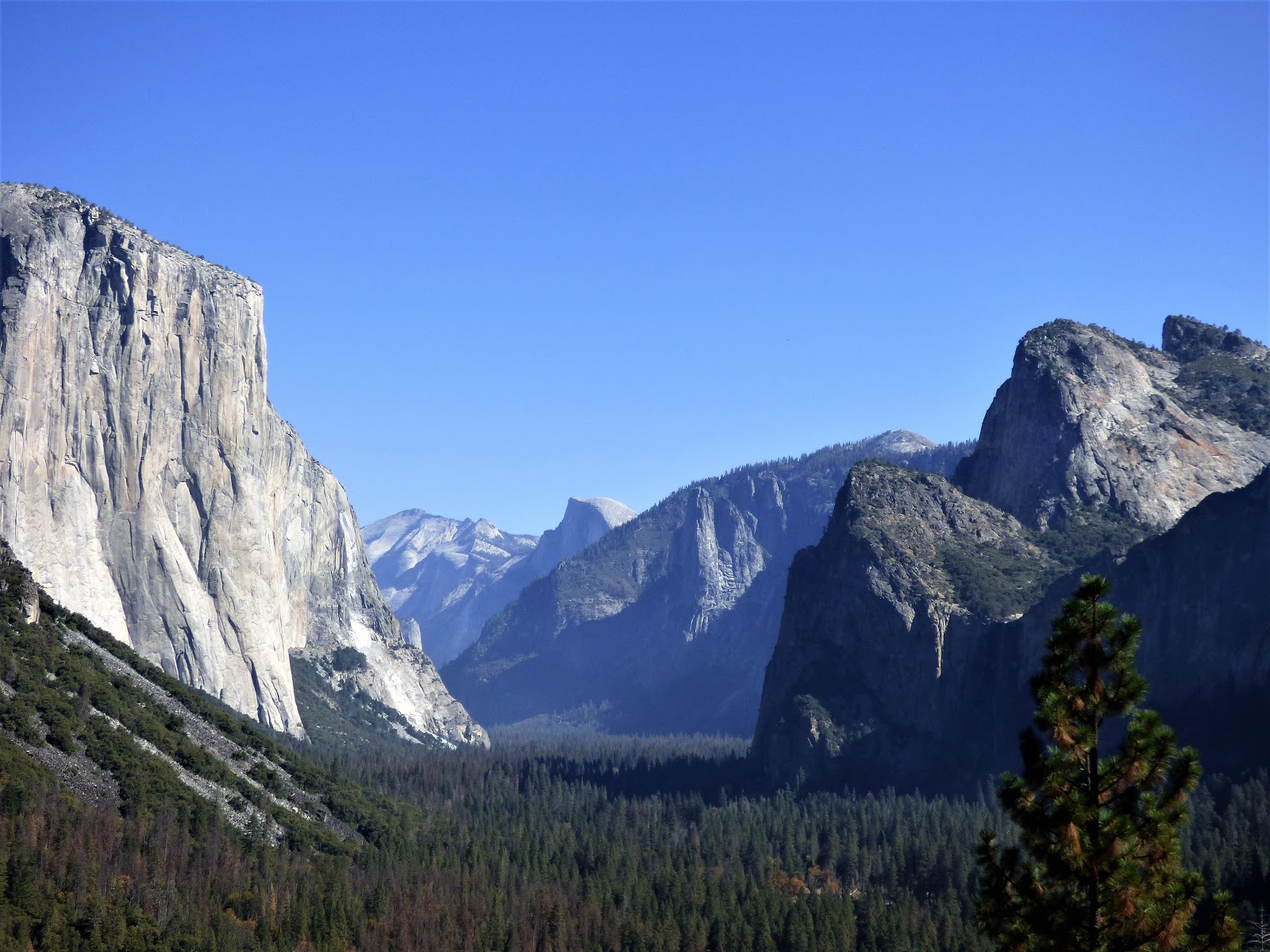 Geotripper: Finding Peace in the Nation's Most Crowded Park: A Walk ...