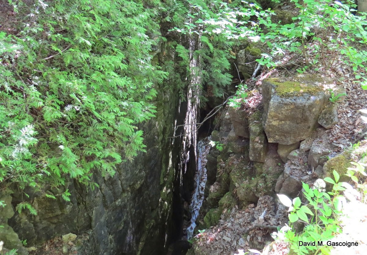 Duntroon Crevice Heights Nature Reserve - Travels With Birds