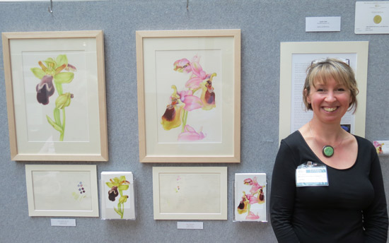 MAKING A MARK: Interviews with six RHS Botanical Art Gold Medal Winners ...