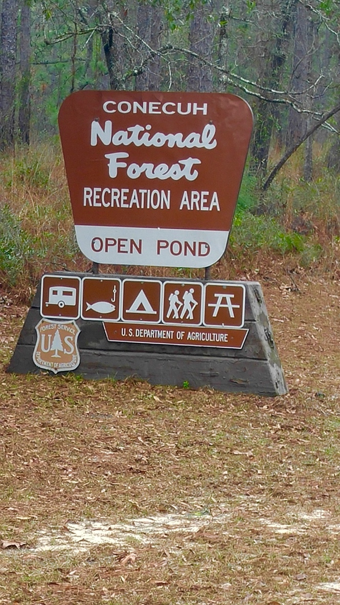 Through the Lens: Open Pond in Conenuh National Forest
