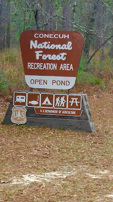 Through the Lens: Open Pond in Conenuh National Forest